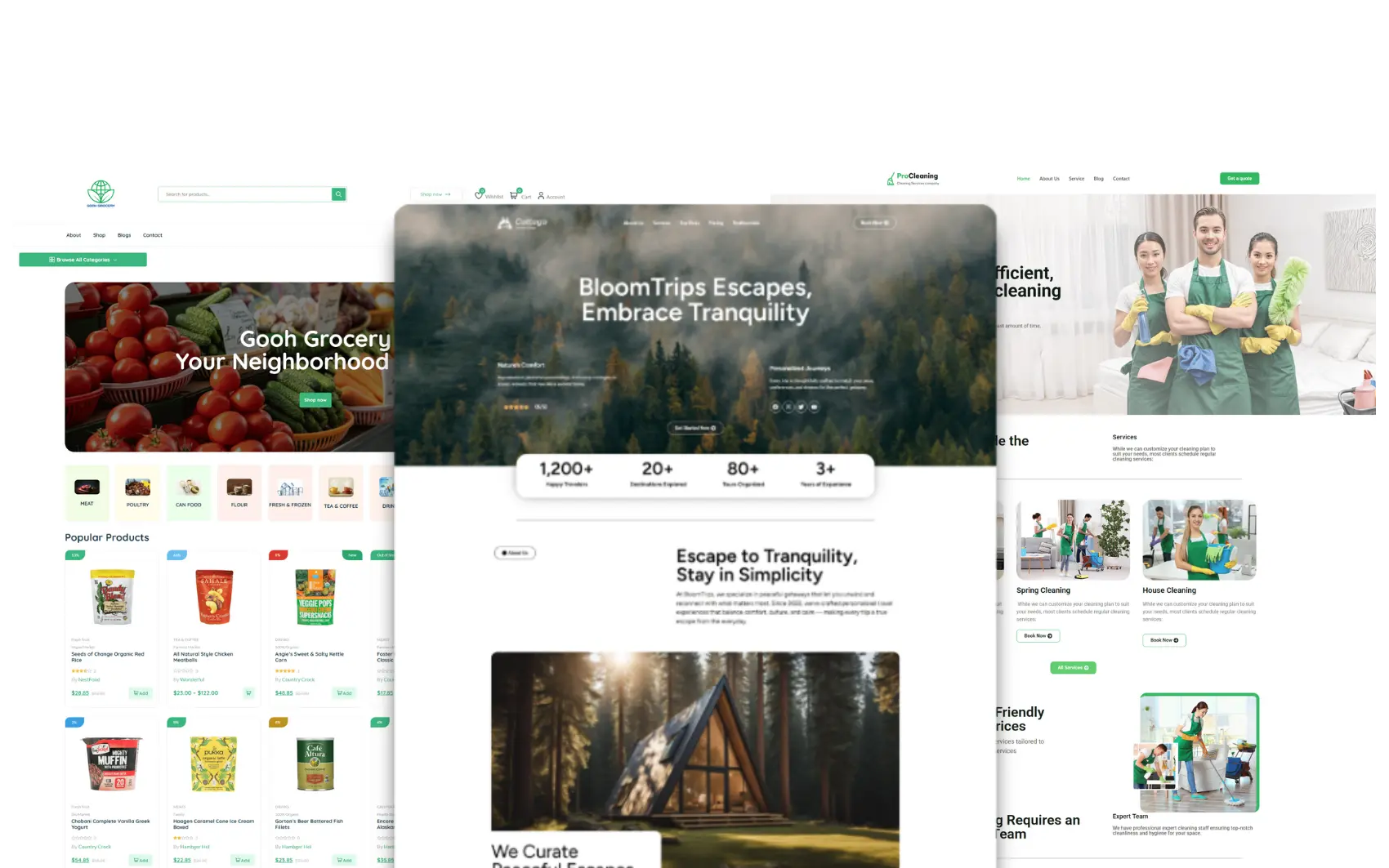 Web Design Web Page Design for Your Business - Anuk Online anuk imsara